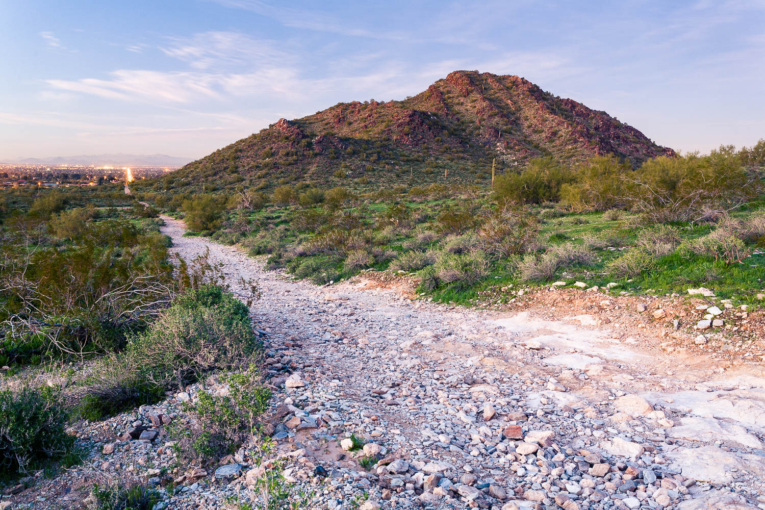 phoenix mountains preserve Archives - Free Roaming Hiker