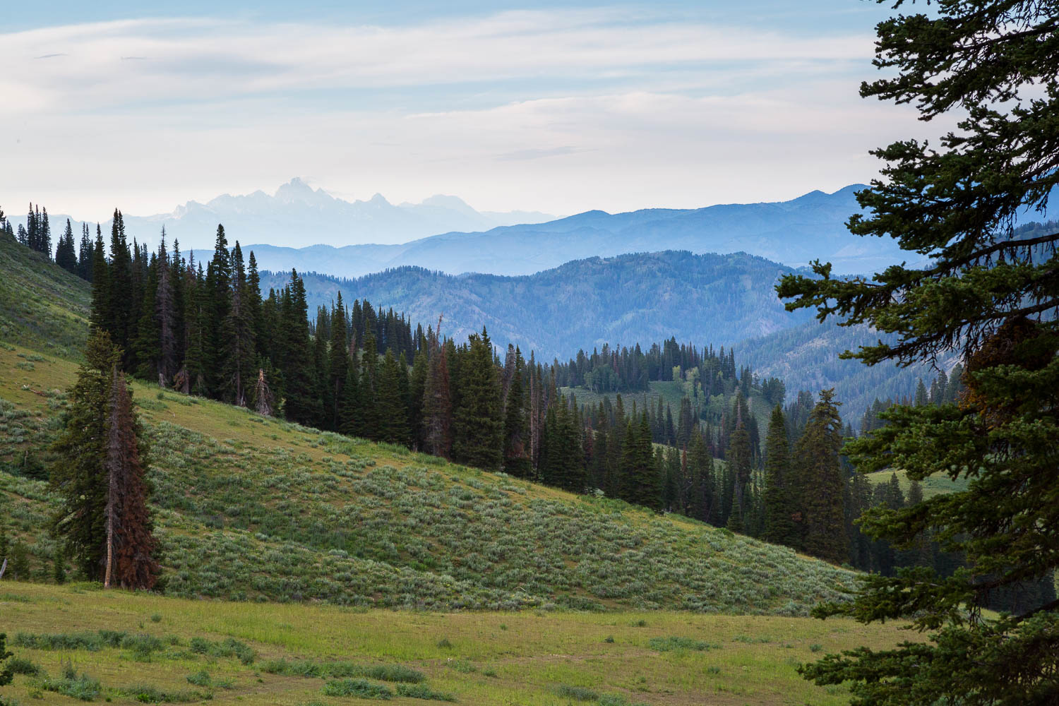 Little Grey's to Pickle Pass - Wyoming Range - Free Roaming Hiker