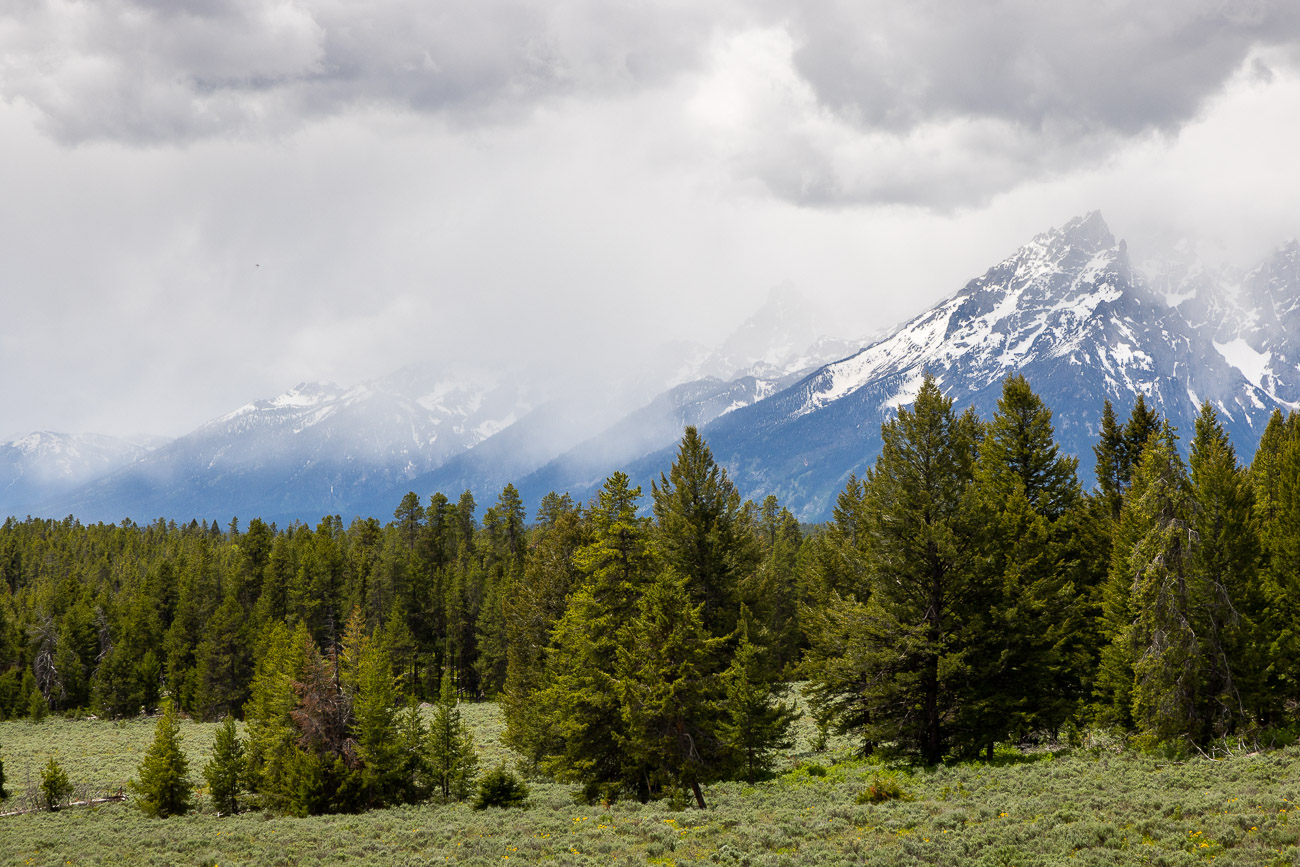 Signal Mountain - Grand Teton National Park - Free Roaming Hiker