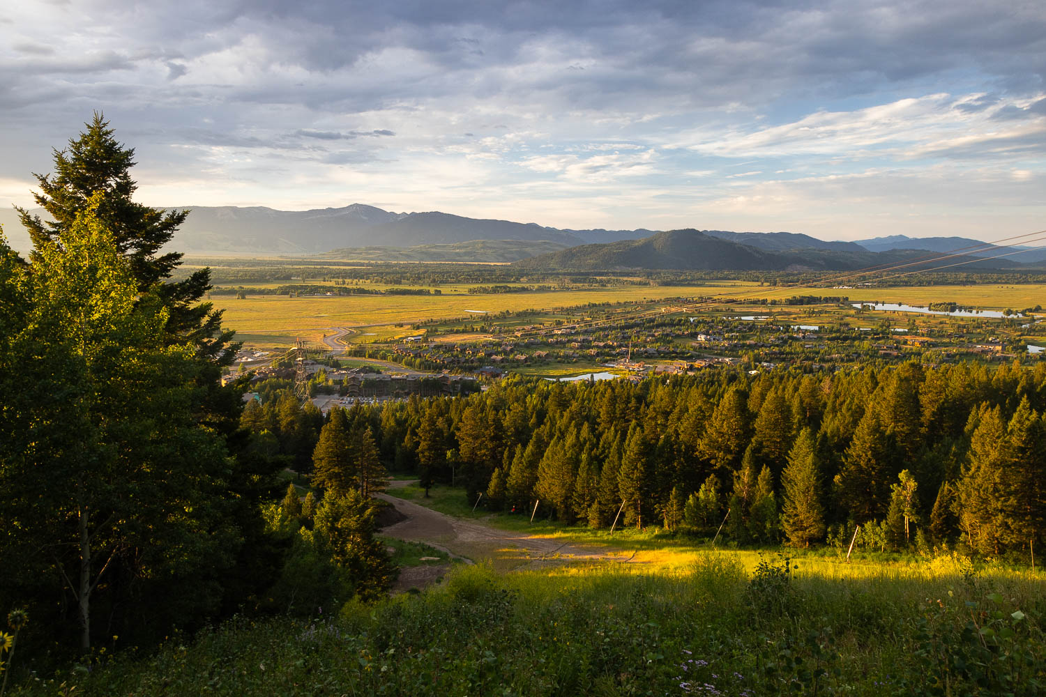 Wildflower Trail - Teton Mountains (beyond GTNP) - Free Roaming Hiker