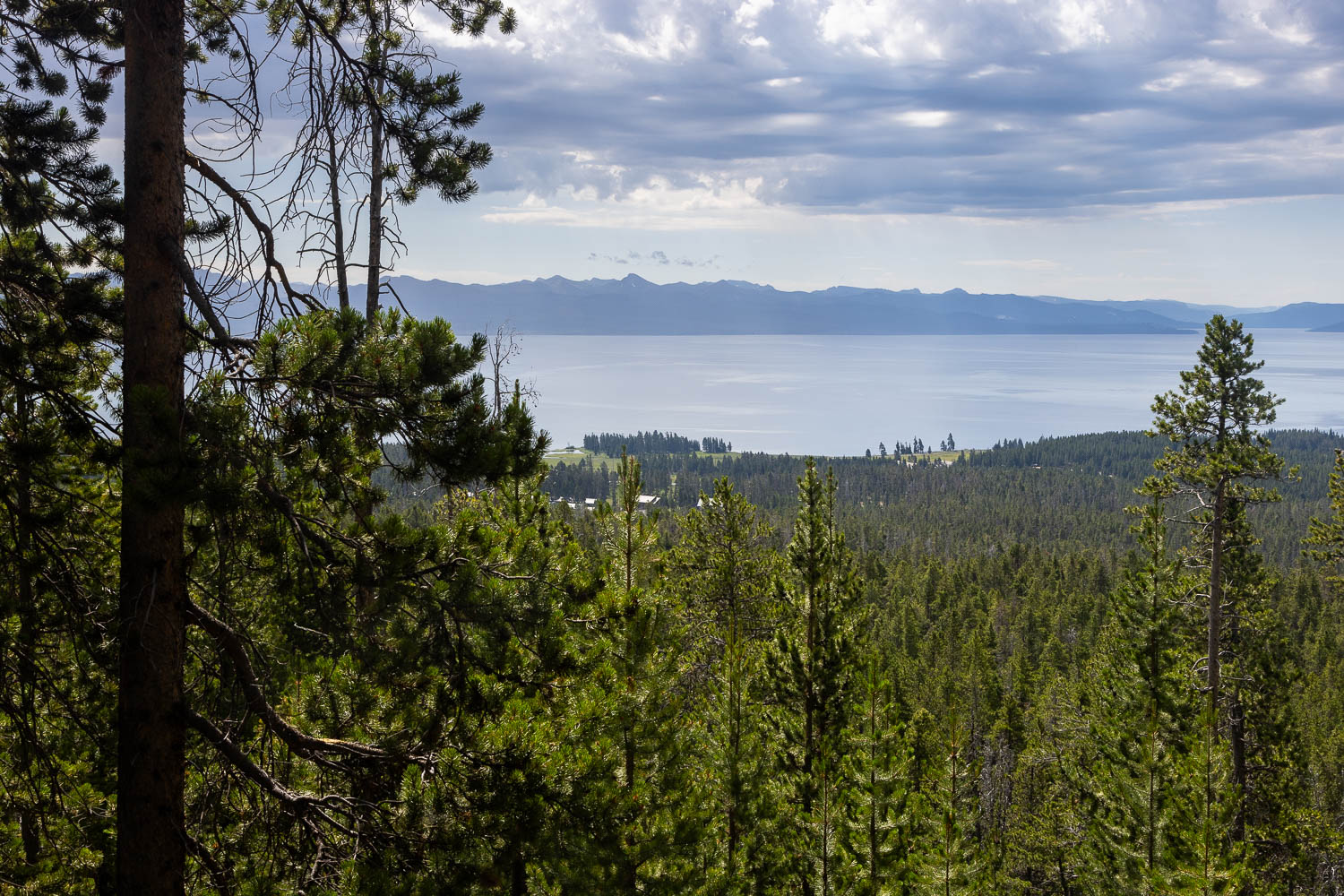 Elephant Back Mountain Trail - Yellowstone National Park - Free Roaming ...