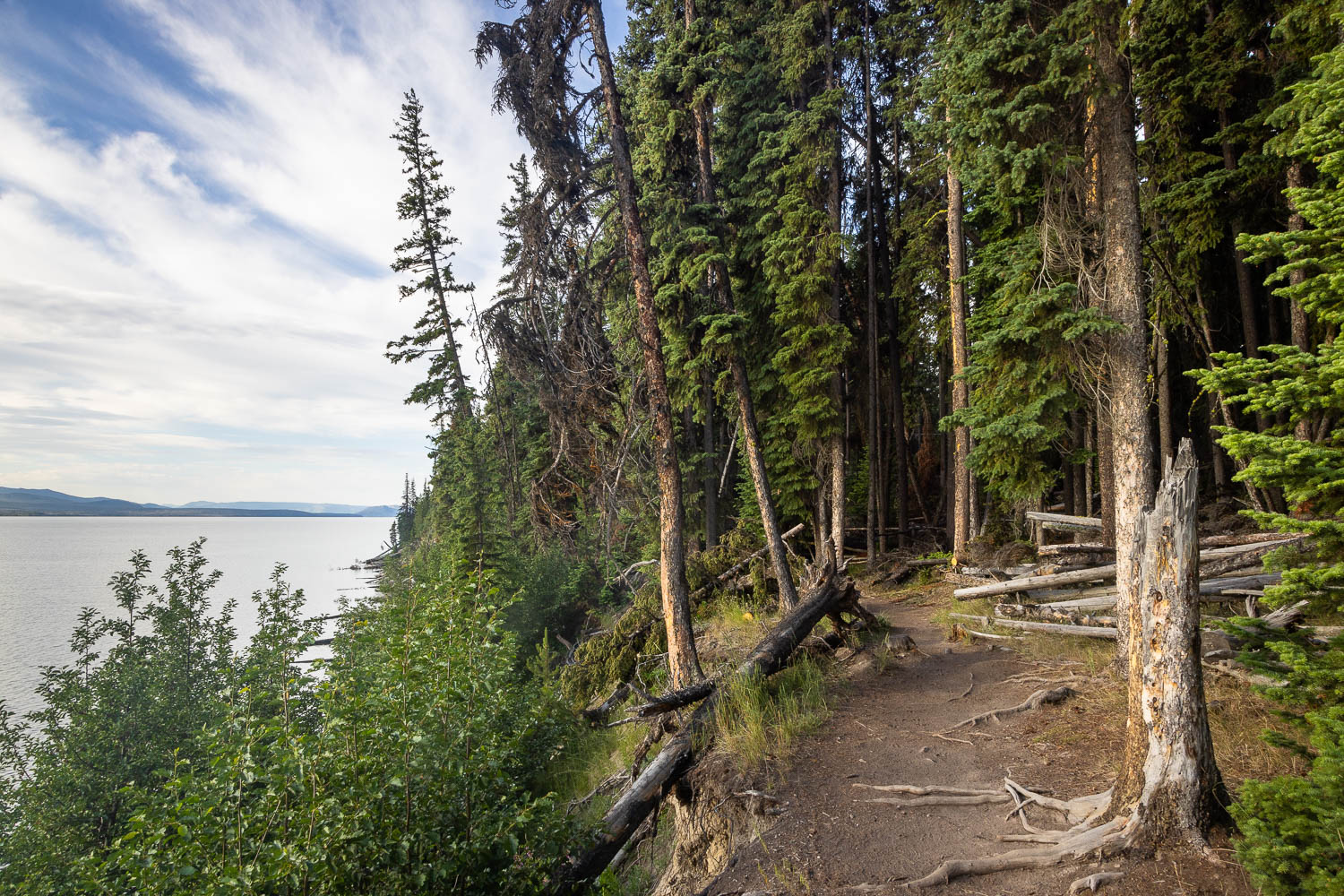 Storm Point Trail - Yellowstone National Park - Free Roaming Hiker