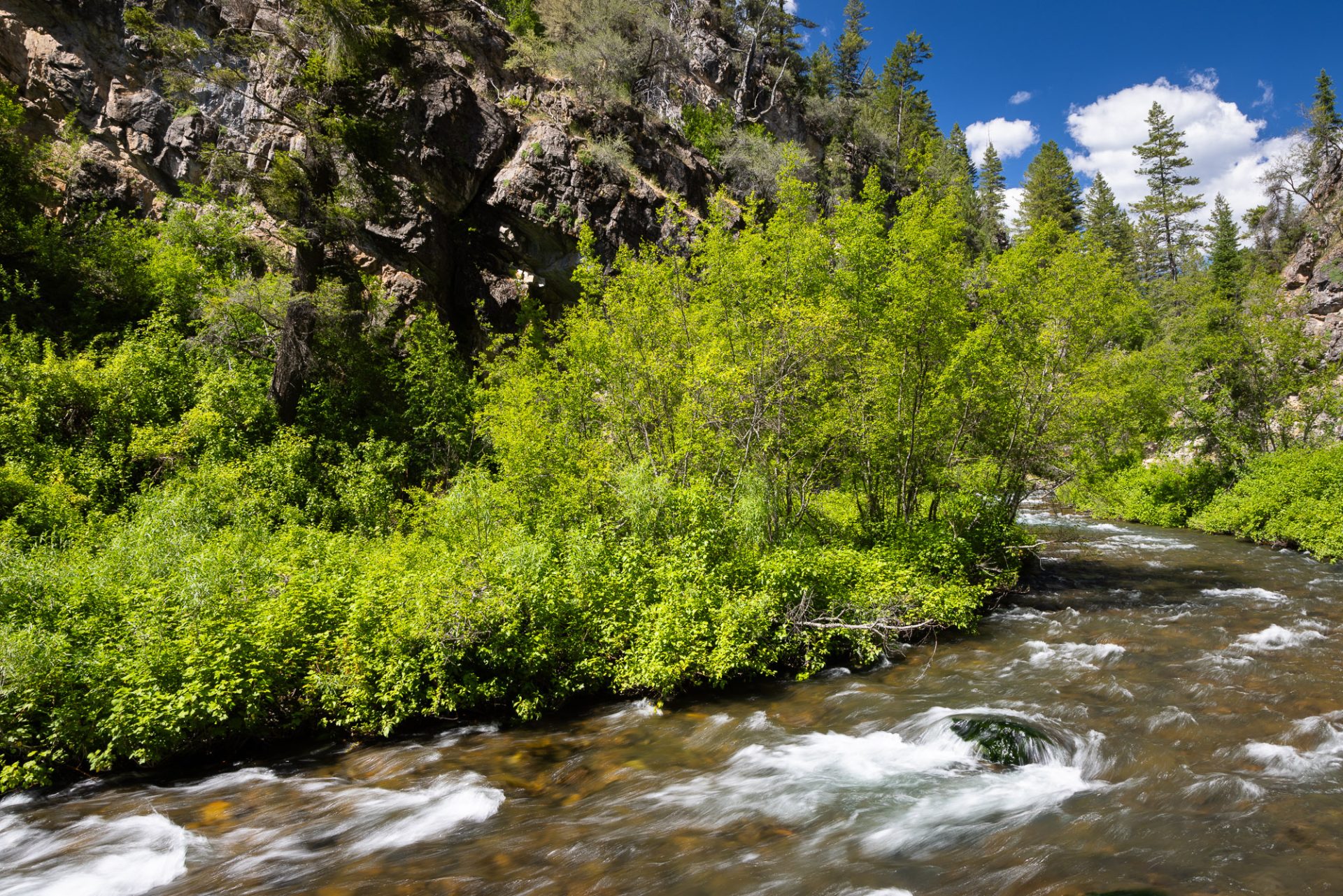 Lower Palisades Lake - Snake River Mountains - Free Roaming Hiker